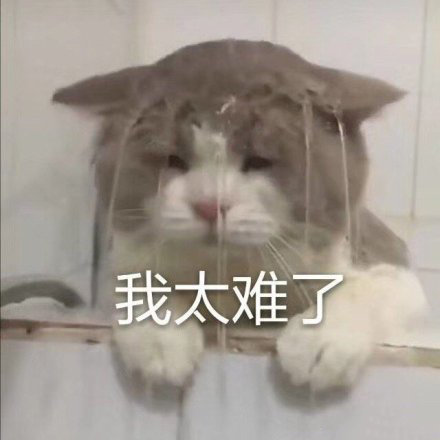 我太难了，英语才不是 I am so difficult! 盘点2020网络热词 - 知乎