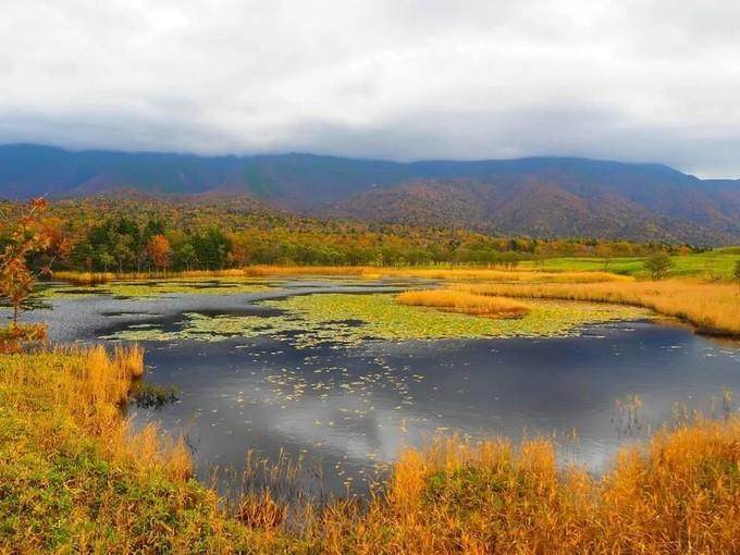 北海道道东||好多人去北海道，我去的是秘境 - 知乎