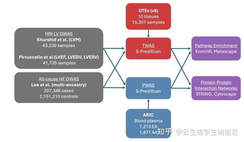 GWAS、TWAS和PWAS多组学金牌组合，心力衰竭新视角！ - 知乎