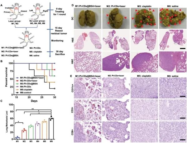 Adv. Sci.: 光催化Pt(IV)配位碳点用于精准肿瘤治疗 - 知乎