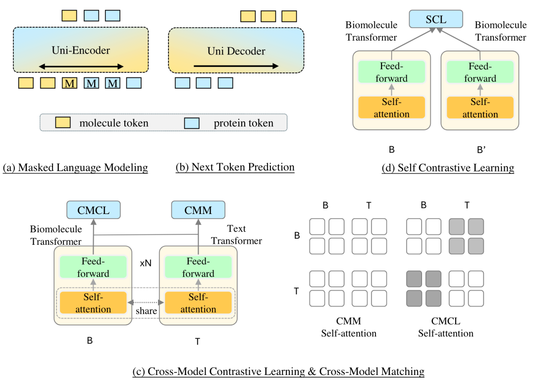 AI4Science与LLM的碰撞：生物分子+文本的联合建模，人大高瓴、微软、华科、中科大团队最新综述 - 知乎