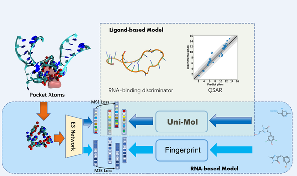 AI4S新进展 | 深势科技在NeurIPS 2022首次发布在靶向RNA小分子领域的最新成果 - 知乎