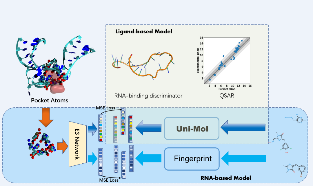 AI4S新进展 | 深势科技在NeurIPS 2022首次发布在靶向RNA小分子领域的最新成果 - 知乎