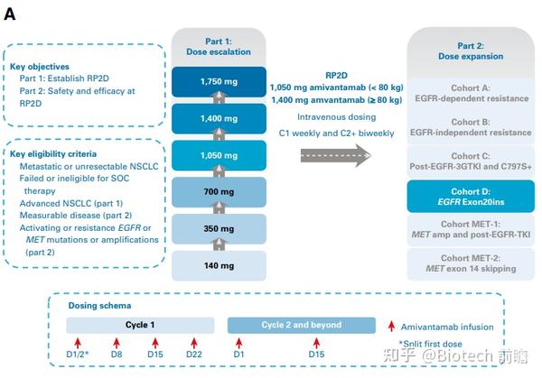 阿斯利康布局EGFR/c-Met ADC，对标强生埃万妥单抗 - 知乎