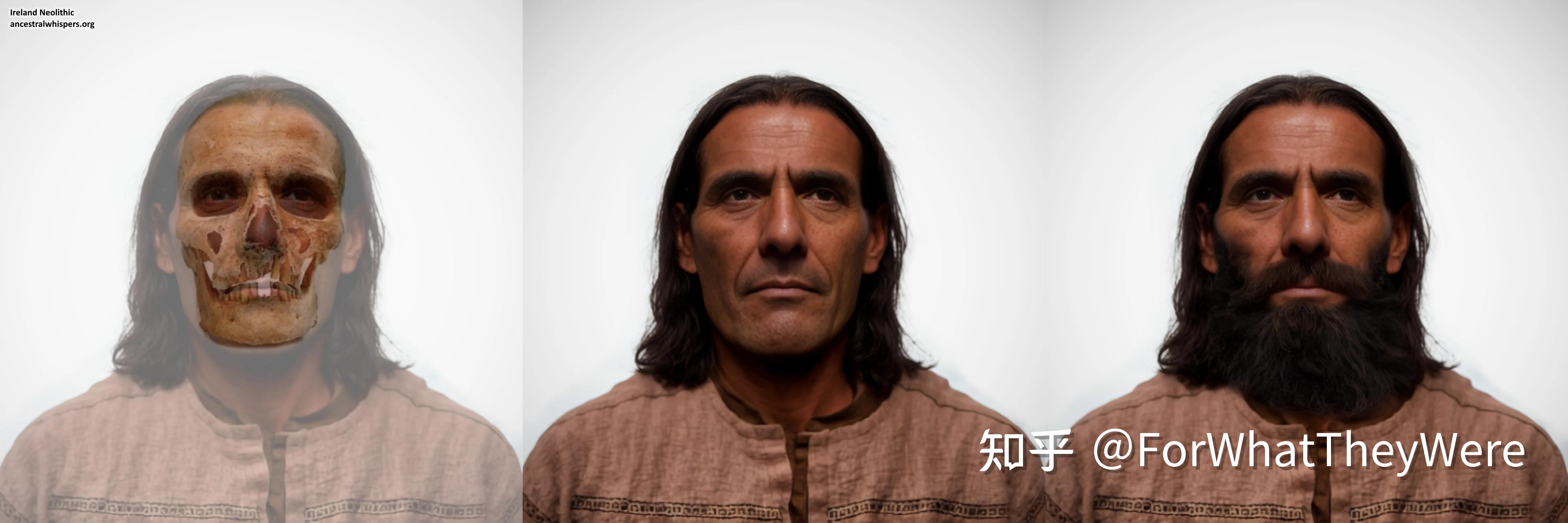 石器时期的欧洲是什么样的？石器时期共有几批人类进入过欧洲？格拉维特人（Gravettian）、西欧猎人（WHG）、早期欧洲农民（EEF）之间是 ...