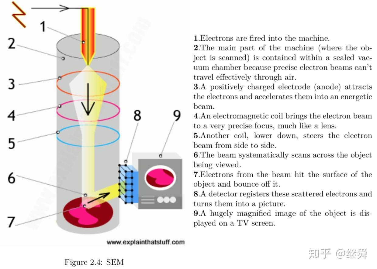 理解各种电子显微镜原理 - 知乎
