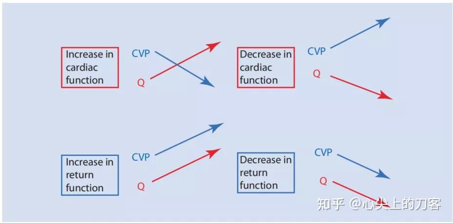 正确理解中心静脉压（CVP） - 知乎