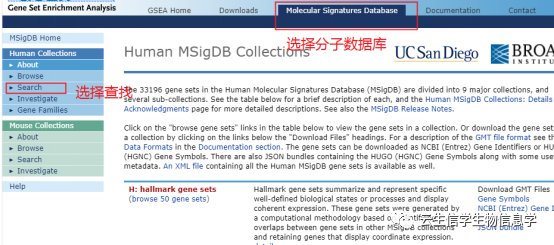 干货满满！盘点基因集查找下载的5种途径，助力您的生信分析快人一步，快快收藏！ - 知乎