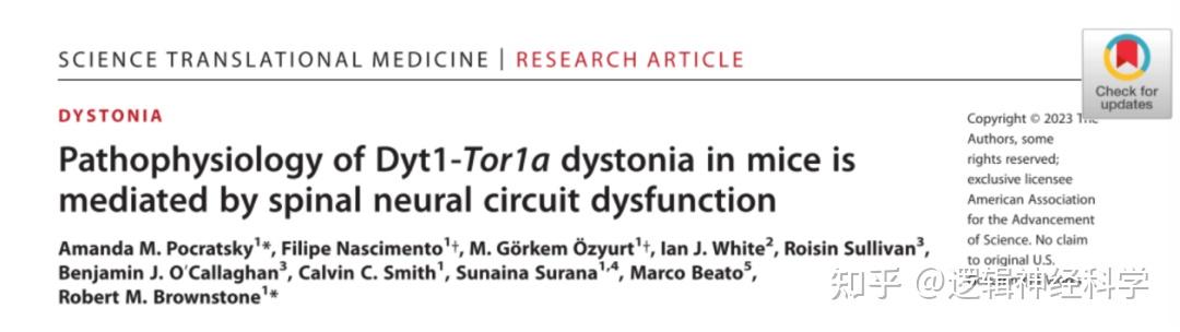 STM︱伦敦大学学院团队发现脊髓神经回路功能障碍介导的Dyt1-Tor1a肌张力障碍小鼠的病理发生机制 - 知乎