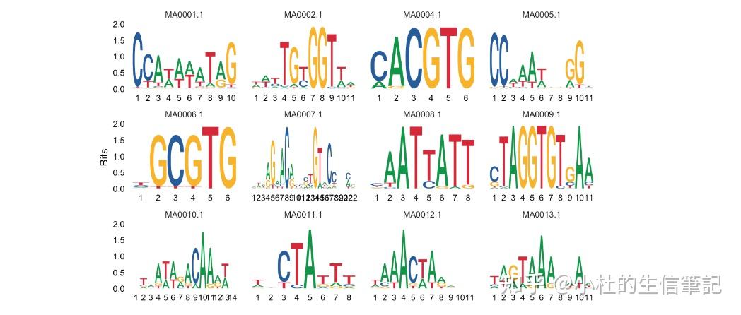 跟着Bioinformatics学作图 | Seqlogo图绘制 - 知乎