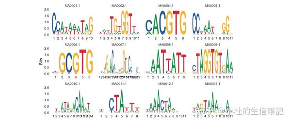 跟着Bioinformatics学作图 | Seqlogo图绘制 - 知乎