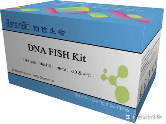 肺转移瘤的复发可通过由小细胞外囊泡递送的mRNA原位生成的CAR巨噬细胞得到缓解 - 知乎