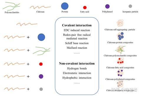 Carbohydrate Polymers综述：壳聚糖基Pickering乳液的稳定剂、生物利用度、应用和相关法规 - 知乎