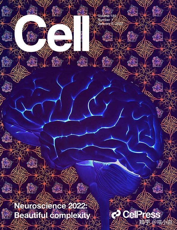 Science&Art Cell2022封面大赏（一），生物学前沿无与伦比的美！ - 知乎