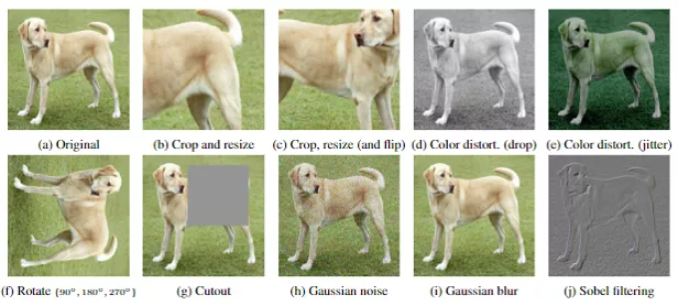 一文掌握《对比学习（Contrastive Learning）》要旨，详述MoCo和SimCLR算法 - 知乎