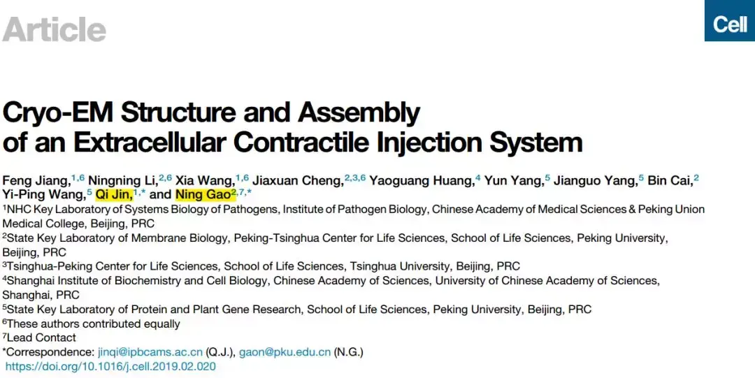 Cell | 高宁/金奇合作团队解析一种细菌可收缩注射系统的精细结构 - 知乎