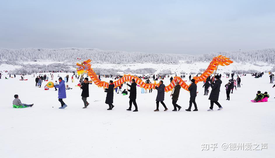 武隆旅游成绩单出炉！仙女山成为2022春节耍雪热门景点 - 知乎