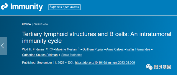 Immunity | 肿瘤三级淋巴结构与B细胞功能与周期 - 知乎