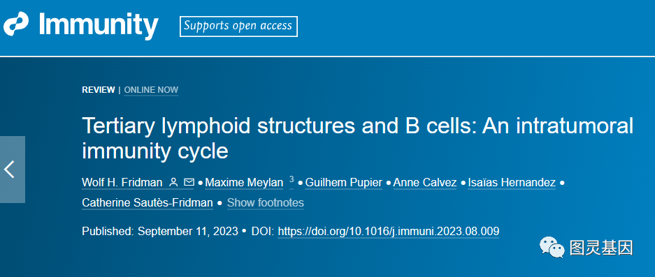 Immunity | 肿瘤三级淋巴结构与B细胞功能与周期 - 知乎
