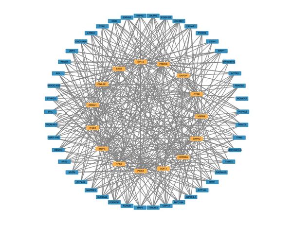 手把手教你使用Cytoscape - 知乎