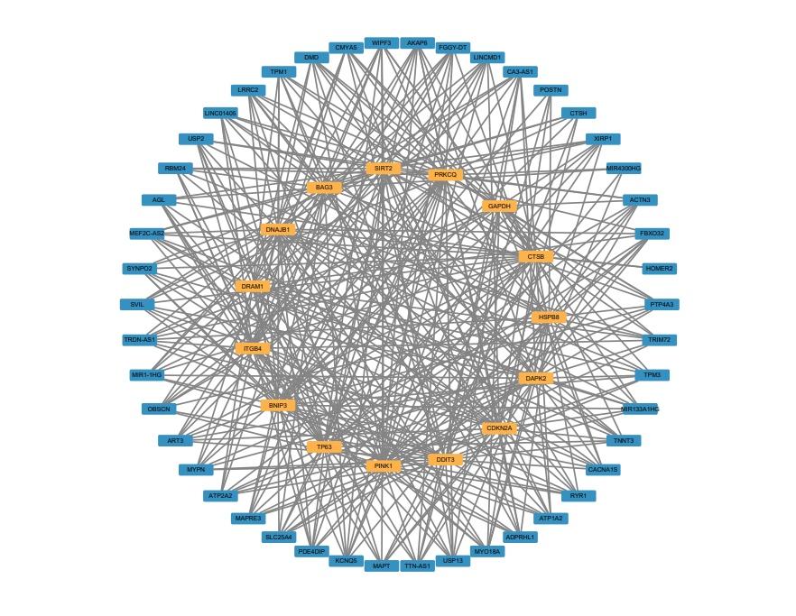 手把手教你使用Cytoscape - 知乎