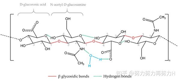医美的主力军：透明质酸 - 知乎