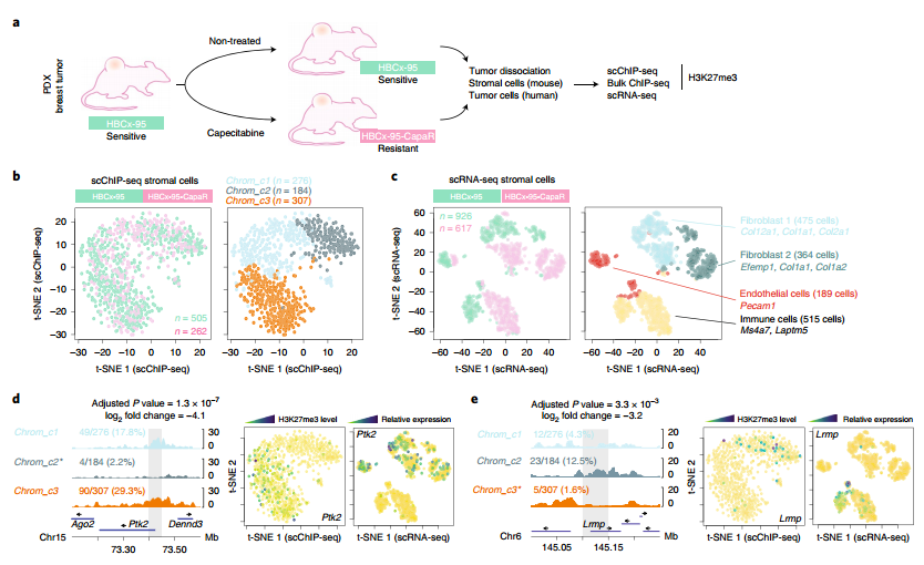Nature genetics | 高通量单细胞ChIP-seq识别乳腺癌染色质状态的异质性 - 知乎