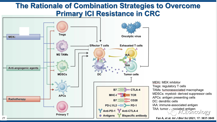 海外大咖说：晚期结直肠癌免疫治疗最新进展 - 知乎
