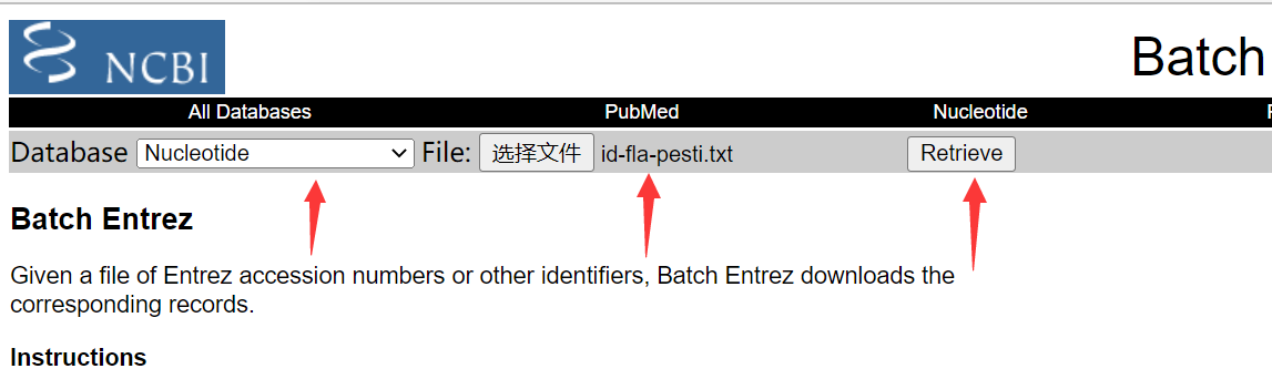 系统进化树的构建及美化(phylusuite+iTOL) - 知乎