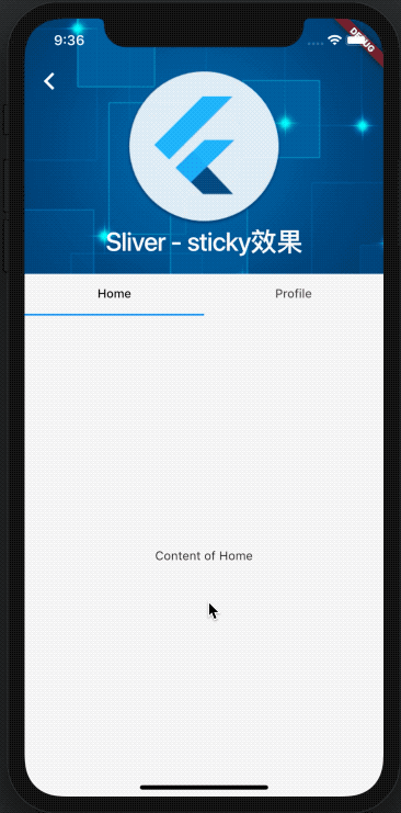 Flutter —— Sliver(吸顶) - 知乎