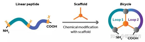 黄保华点评 | 首个PDC药物撤市，其实是个美丽的误会 - 知乎