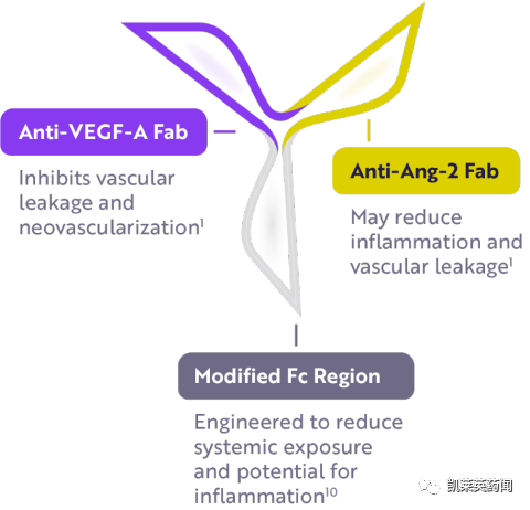 全球首款眼科双抗：EC批准Vabysmo用于治疗新生血管性或湿性老年性黄斑变性(AMD)和糖尿病性黄斑水肿(DME) - 知乎
