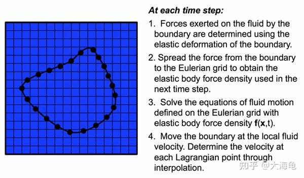浸入边界法 (Immersed Boundary Method) - 知乎