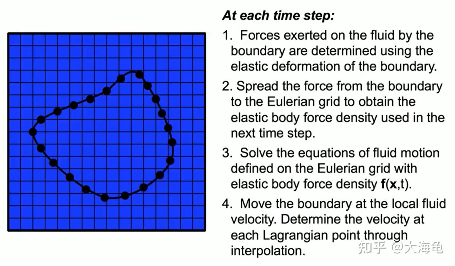 浸入边界法 Immersed Boundary Method 知乎