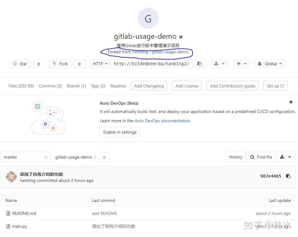 公司使用Gitlab管理项目实践指南 - 知乎