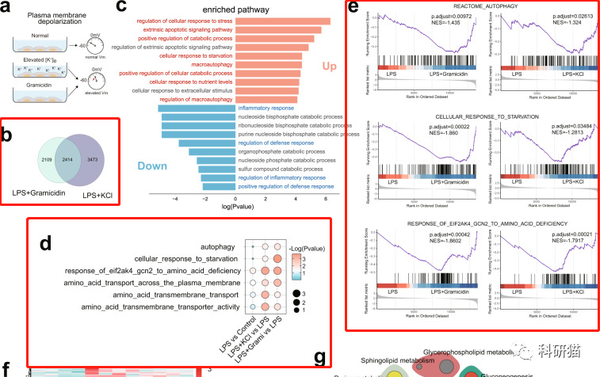 Hiplot 助力Nature Communications影响因子17.7分，Q1区文章发表 - 知乎