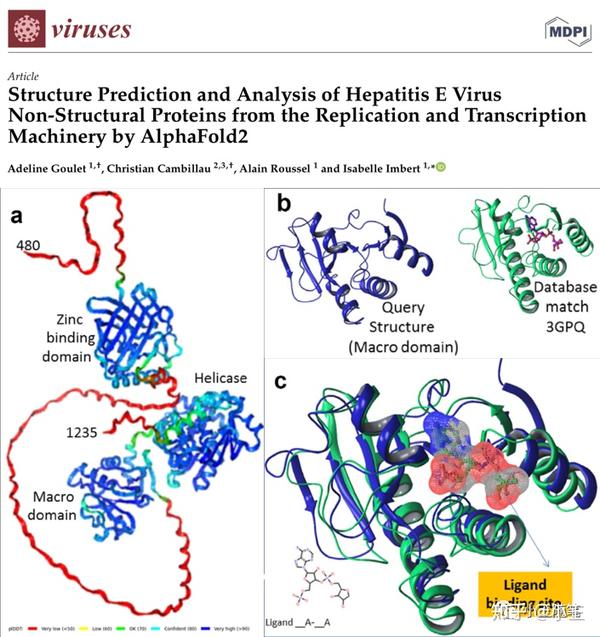 汇编 | AlphaFold在药物临床前研究中的作用 - 知乎