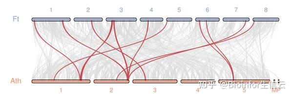 基因家族分析（9）物种间的共线性分析及jcvi绘图 - 知乎