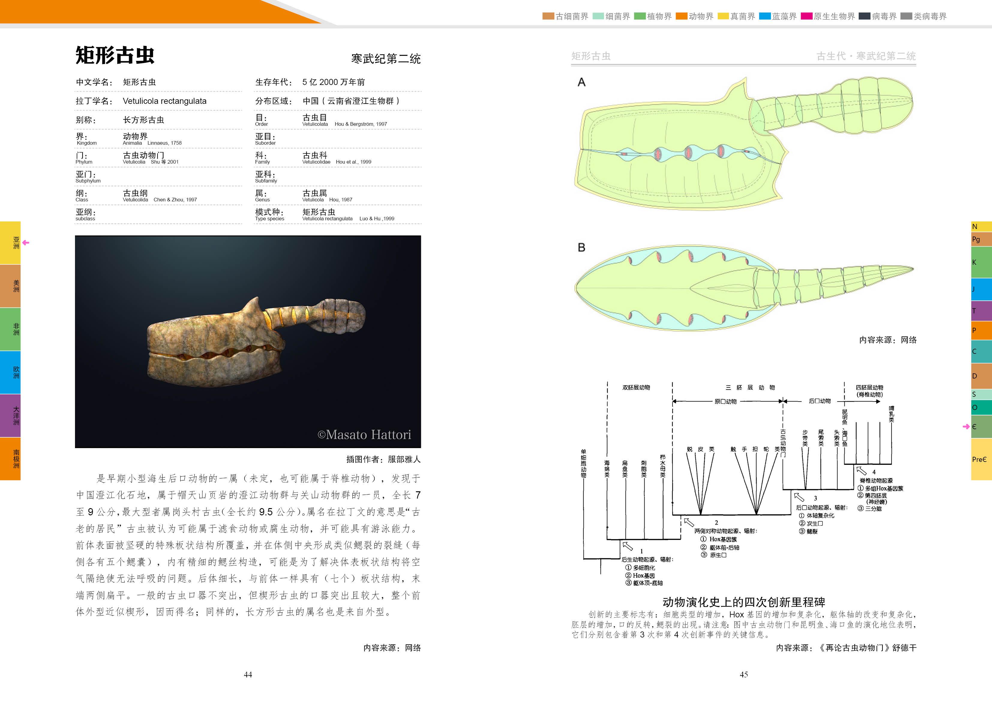 《生物简史图鉴》古虫动物门01 - 知乎