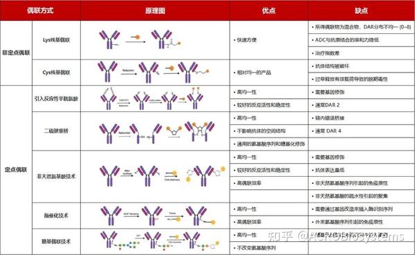 【新品来袭】ADC定点偶联试剂盒现货发售 - 知乎