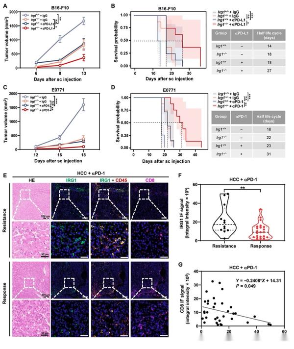Science Advances丨靶向 IRG1 可逆转肿瘤相关巨噬细胞的免疫抑制功能并增强癌症免疫治疗 - 知乎