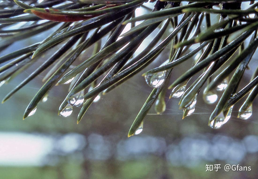 【深入浅出 Nvidia FleX】(2) Position Based Fluids - 知乎