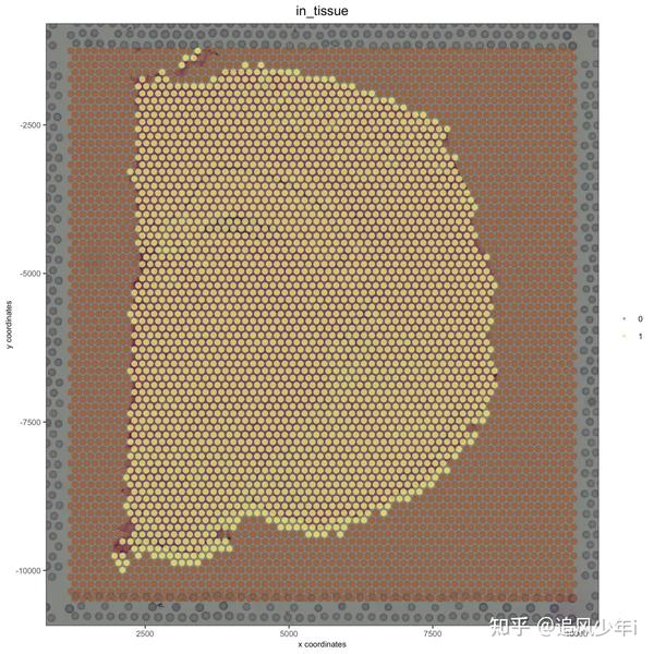 10X空间转录组分析回顾之Giotto - 知乎