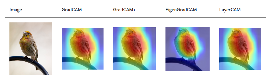 使用 Grad-CAM 可视化 ViT 的输出，揭示视觉 Transformer 的工作原理 - 知乎