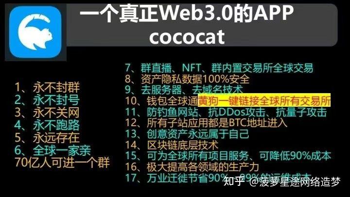 逐梦WEB3.0时代：CocoCat项目的探索与展望 - 知乎