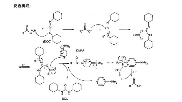 福山机理题 A001-A010知识点以及详述A007——Steglich酯化法 - 知乎