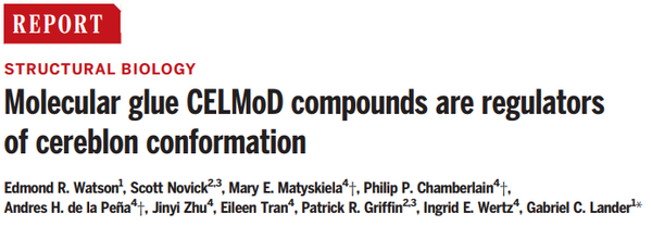 蛋白降解疗法：CELMoD药物的发展前景 | 水木视界iss.34 - 知乎