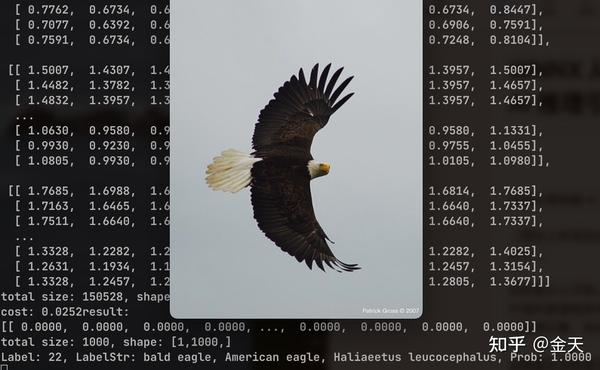 WNNX 从零做 AI 推理引擎（七）一款面向产品经理的 AI 推理引擎，这一次来说说 Python Binding - 知乎