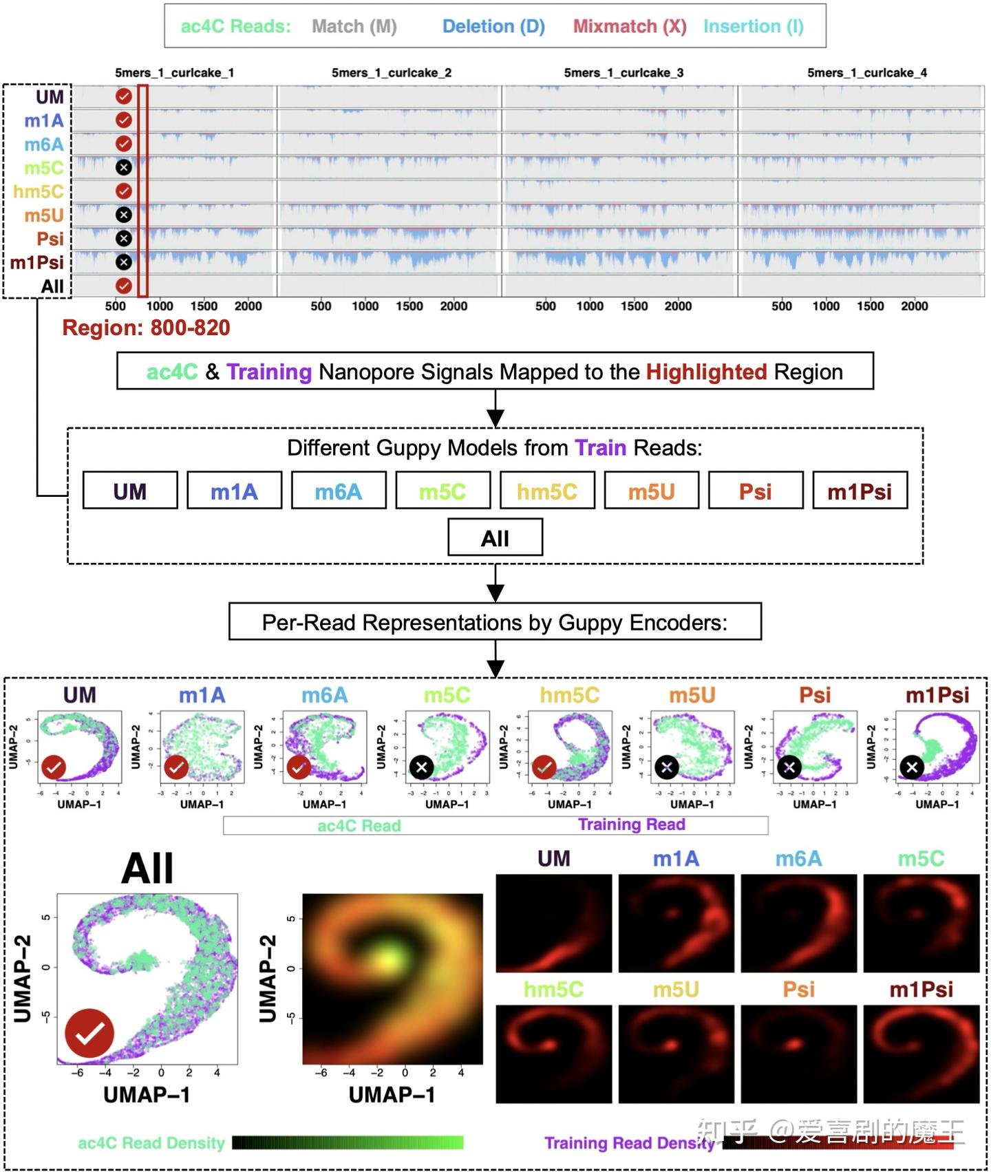 论文阅读——训练数据多样性增强了新型 RNA 修饰诱导的纳米孔测序读数的碱基识别 - 知乎