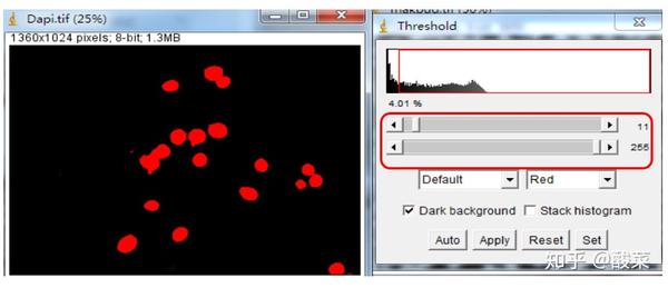 老司机带你解锁ImageJ的各种技术姿势 - 知乎